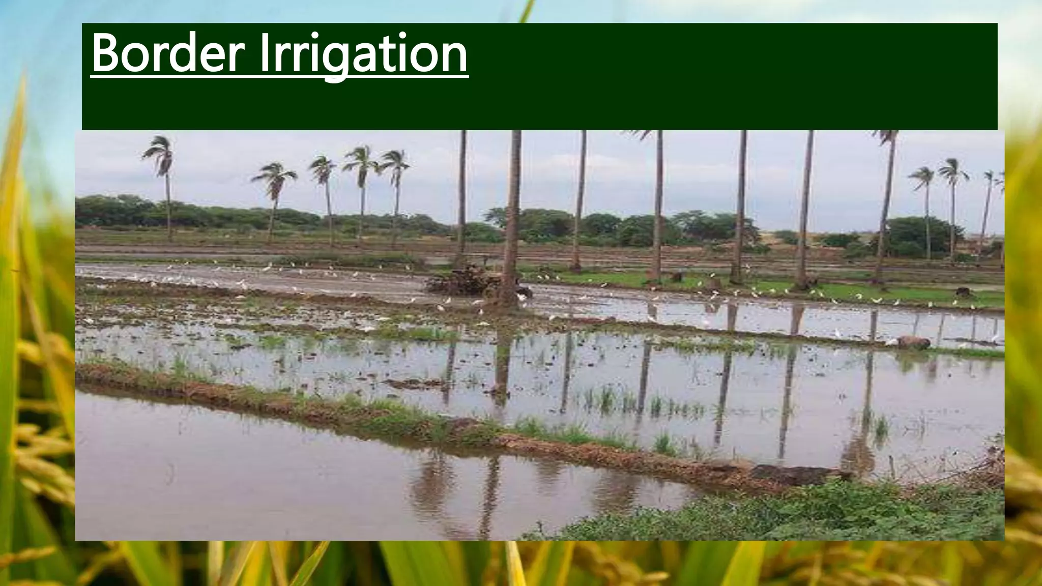 IRRIGATION SYSTEMS.pptx