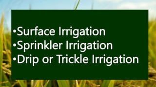 IRRIGATION SYSTEMS.pptx