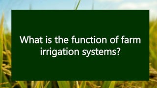 IRRIGATION SYSTEMS.pptx