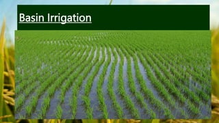 IRRIGATION SYSTEMS.pptx