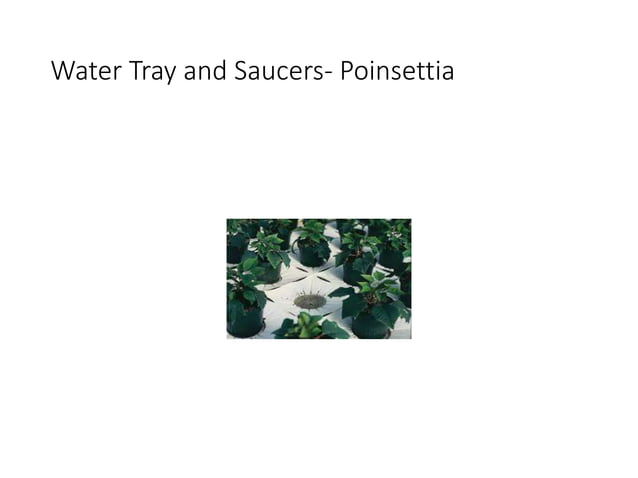 Irrigation systems in protected floriculture | PPTX | Gardening | Home ...
