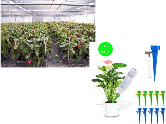 Irrigation systems in protected floriculture | PPTX | Gardening | Home ...