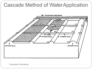 Irrigation and its Types | PPT