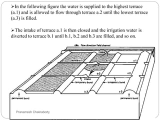 Irrigation and its Types | PPT