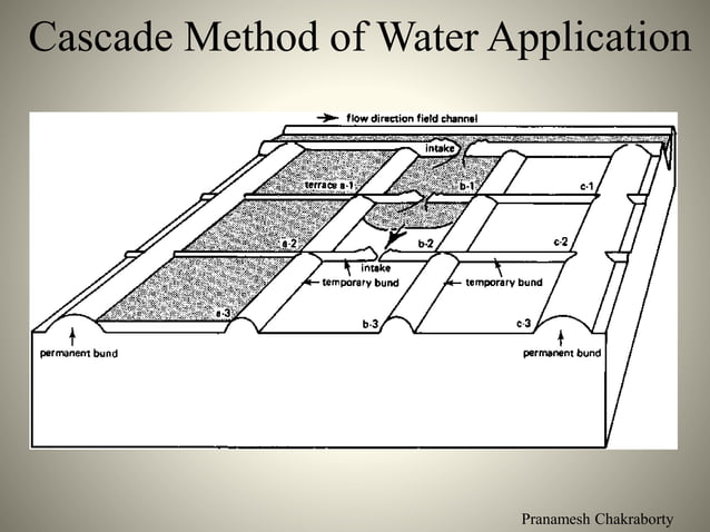 Types of Irrigation | PPTX | Agriculture | Industries