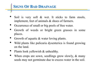 Irrigation water management | PPTX