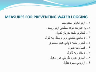 irrigation water managementxhlygh- .pptx
