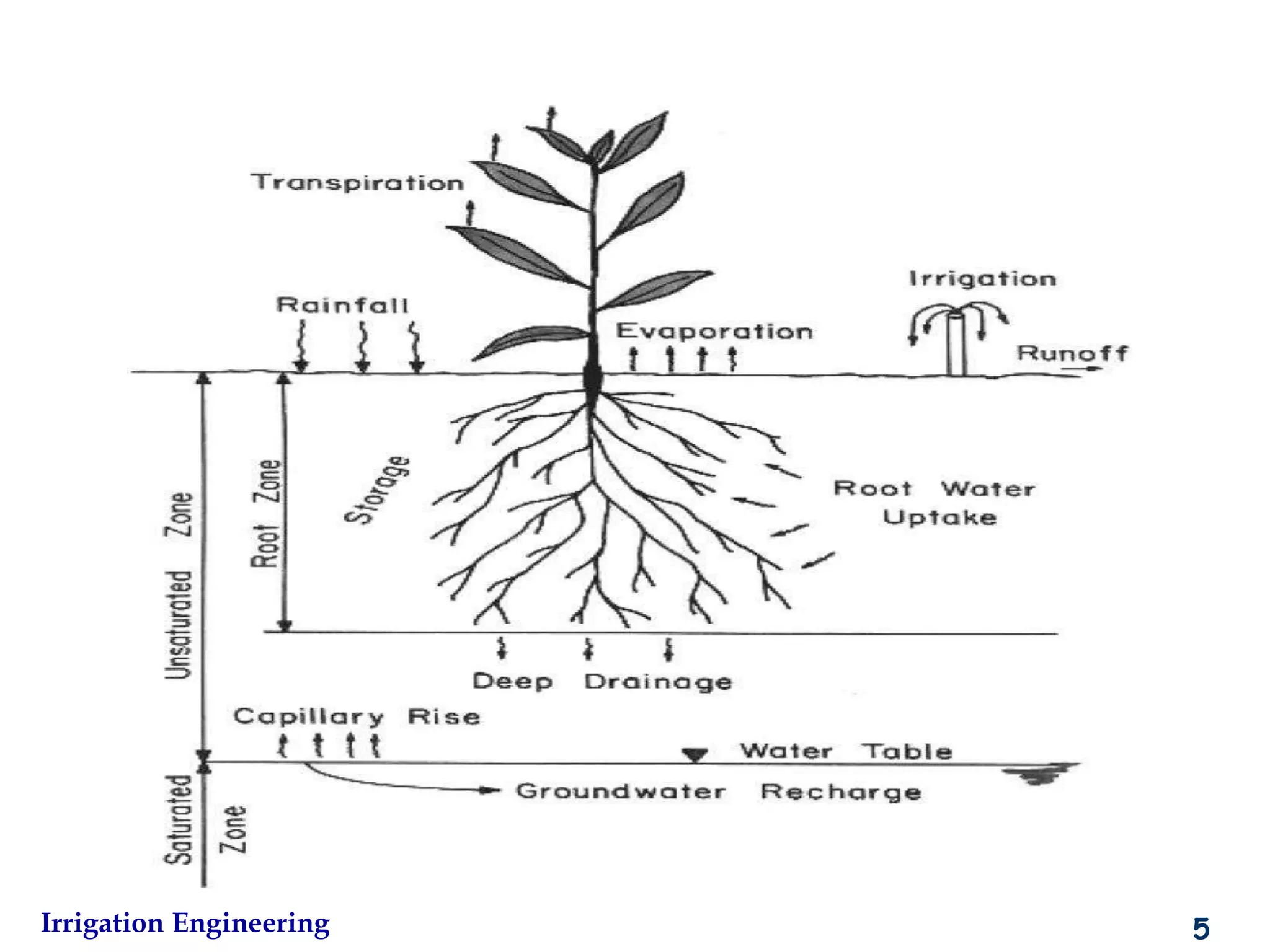 Irrigation water requirement | PPT