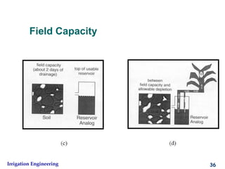 Irrigation water requirement | PPT