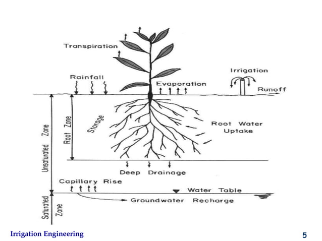 Irrigation water requirement | PPT