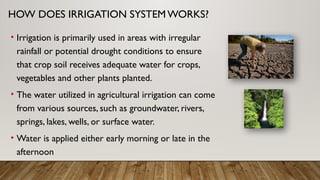 Irrigation works-Agricultural crop production.pptx