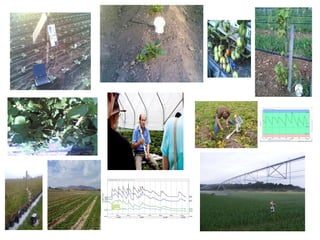 Improve your irrigation scheduling - Peter White Water Management | PPS