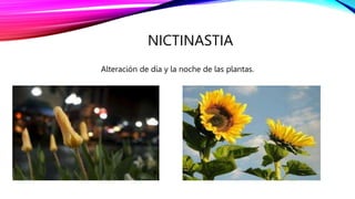 Irritabilidad de los seres vivos.pptx