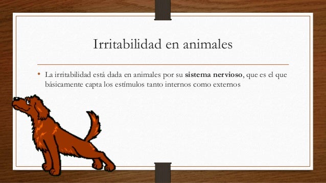 Irritabilidad y homeostasis