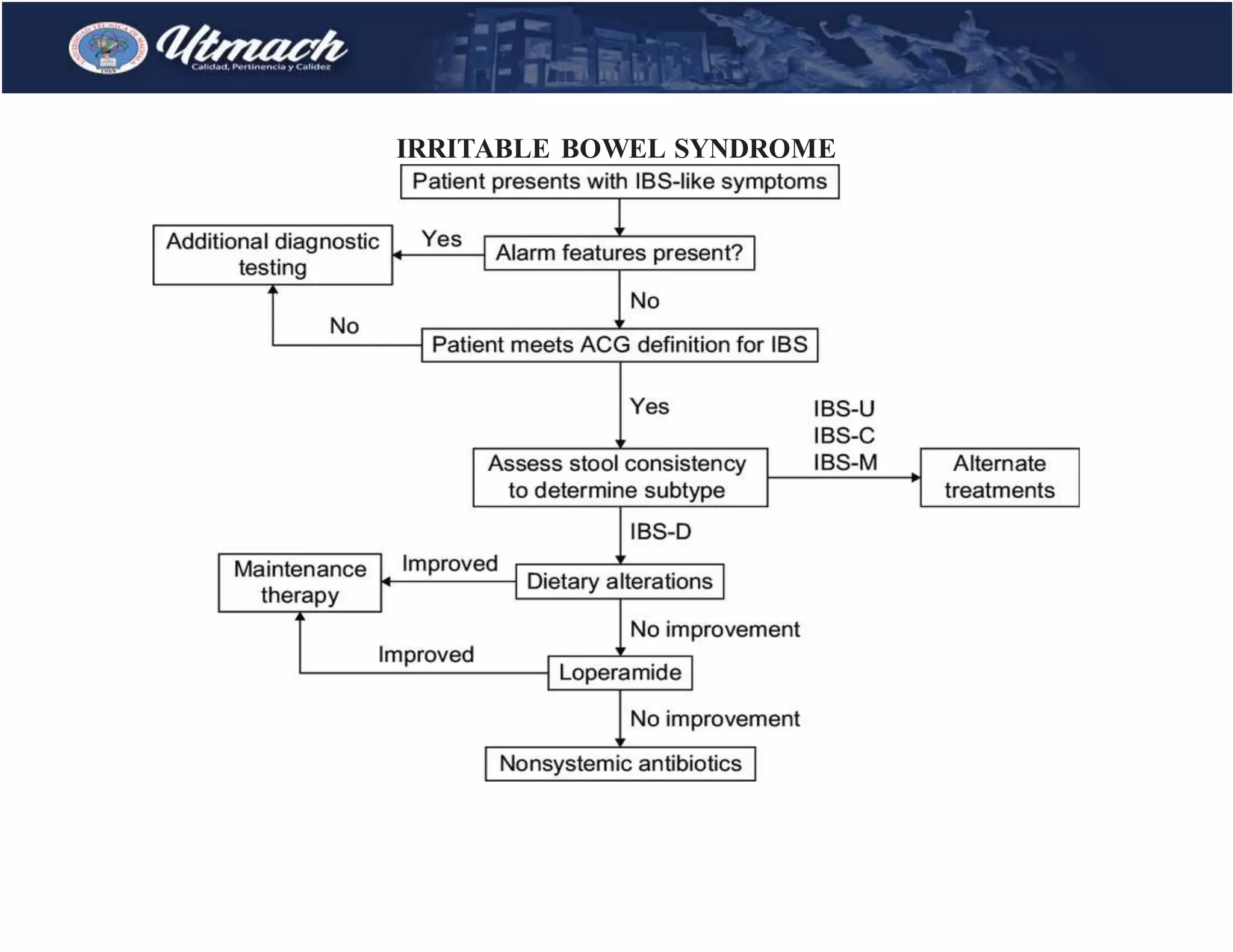 Irritable bowel syndrome algorithm | DOCX