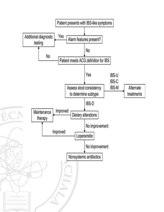 Irritable bowel syndrome algorithm | DOCX | Digestive Disorders ...