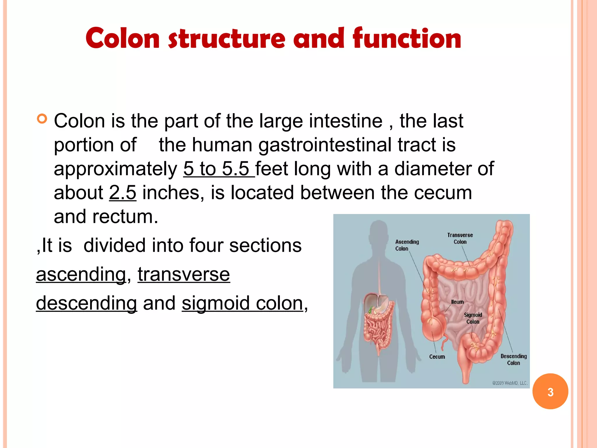 Irritable bowel syndrome | PPT