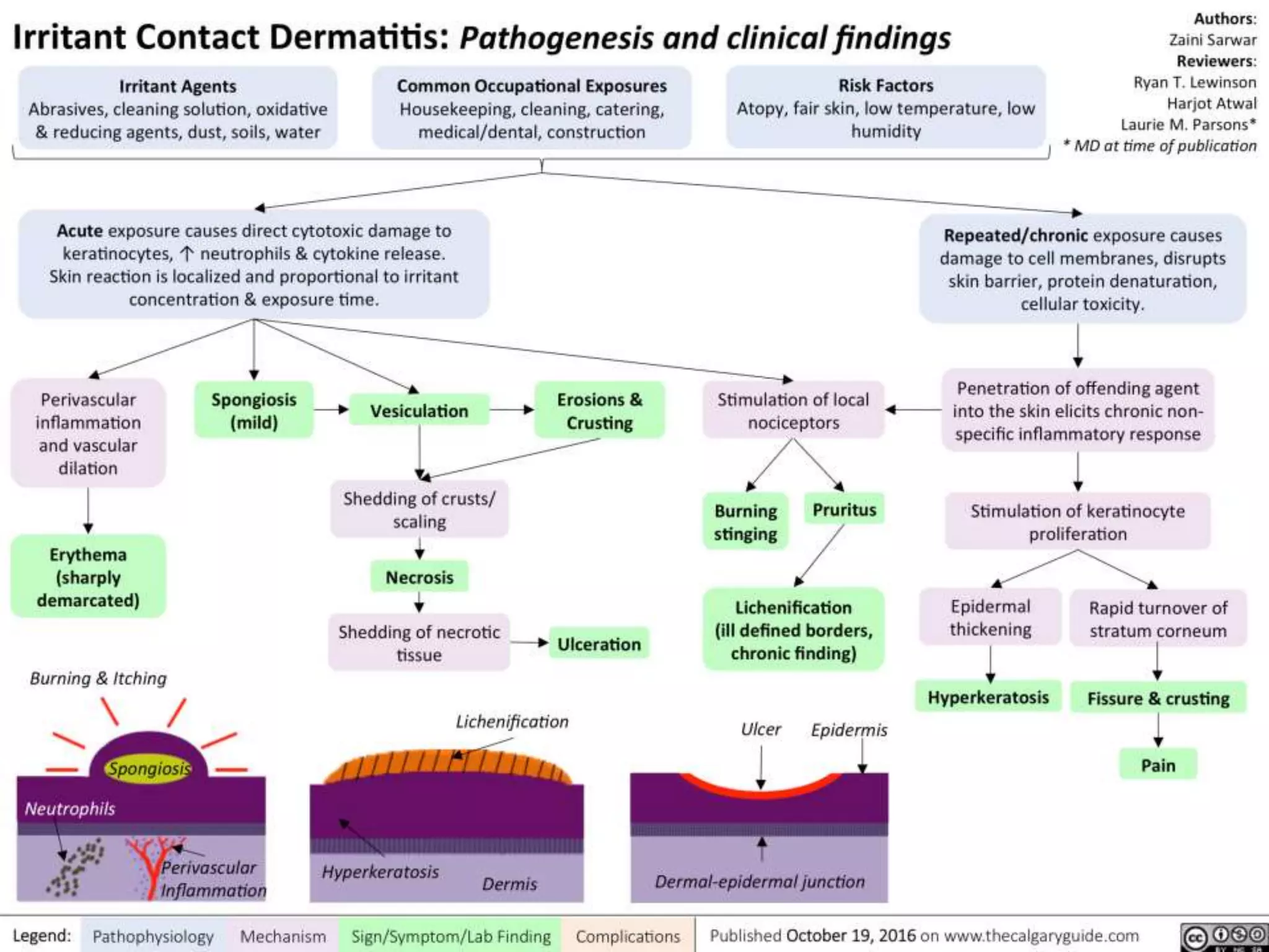 Irritant contact dermatitis by dr maria saeed | PPT