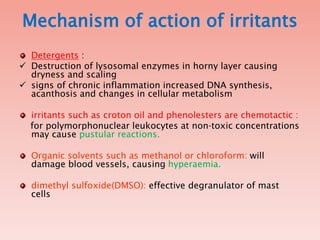 Irritant contact dermatitis by dr maria saeed | PPTX