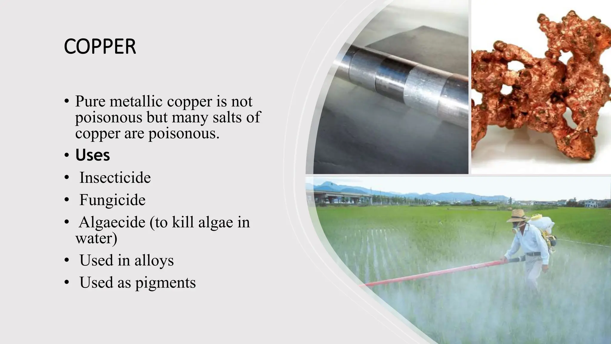 irritant poison final #poisoning # irritants # | PPTX | Digestive ...