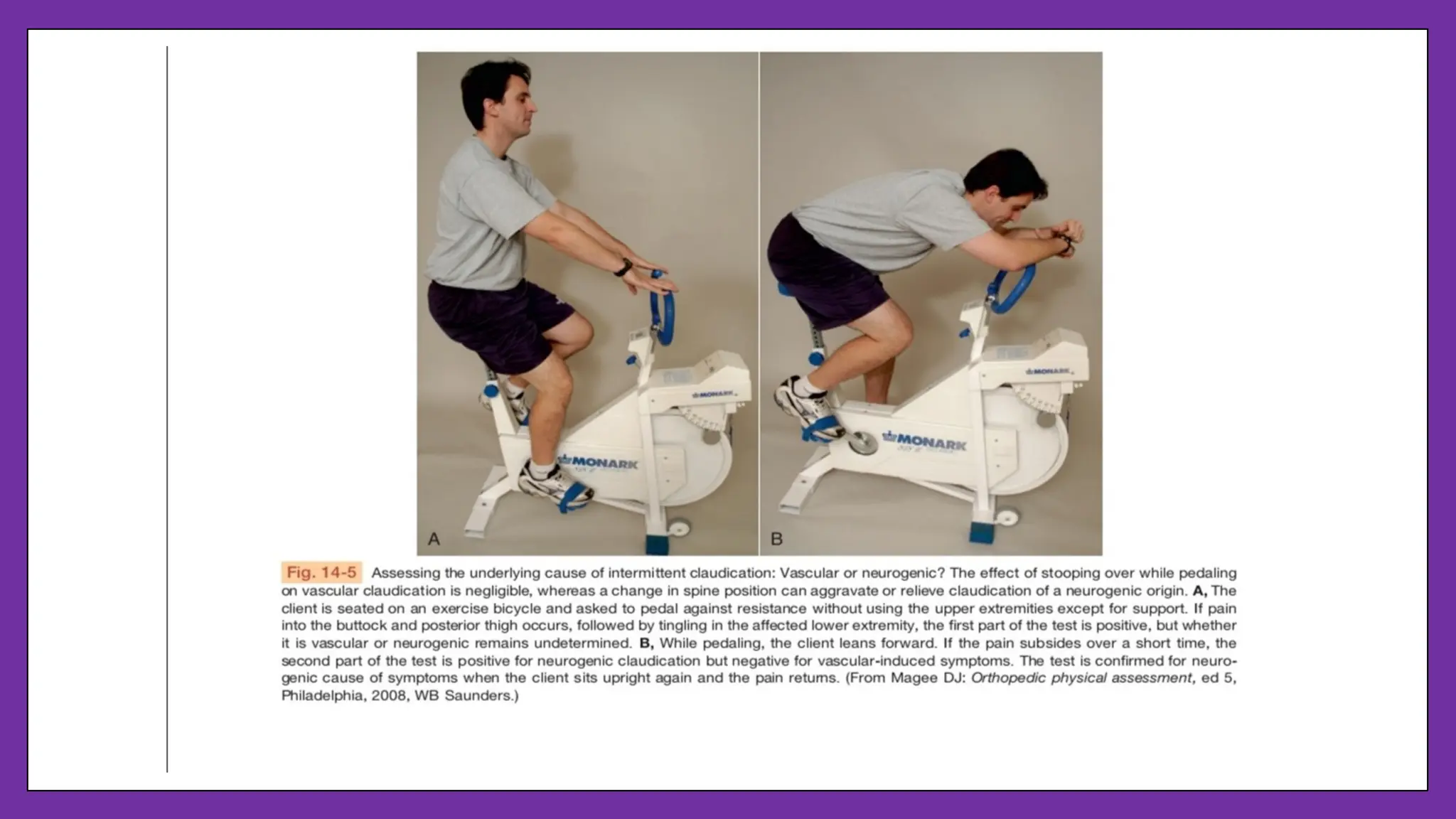 Screening the head,neck and back DD.pptx