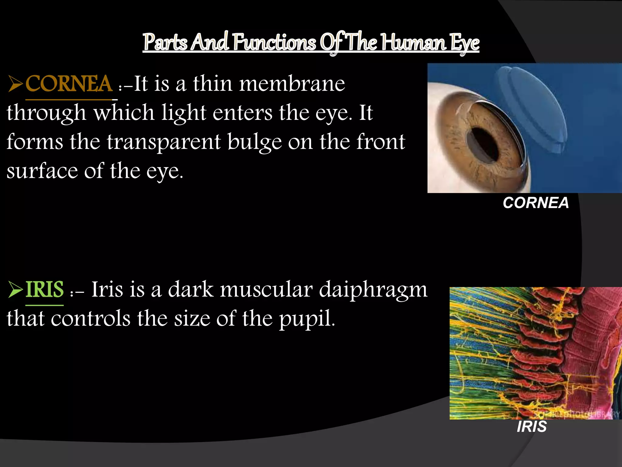 HUMAN EYE AND ITS DEFECTS | PPTX