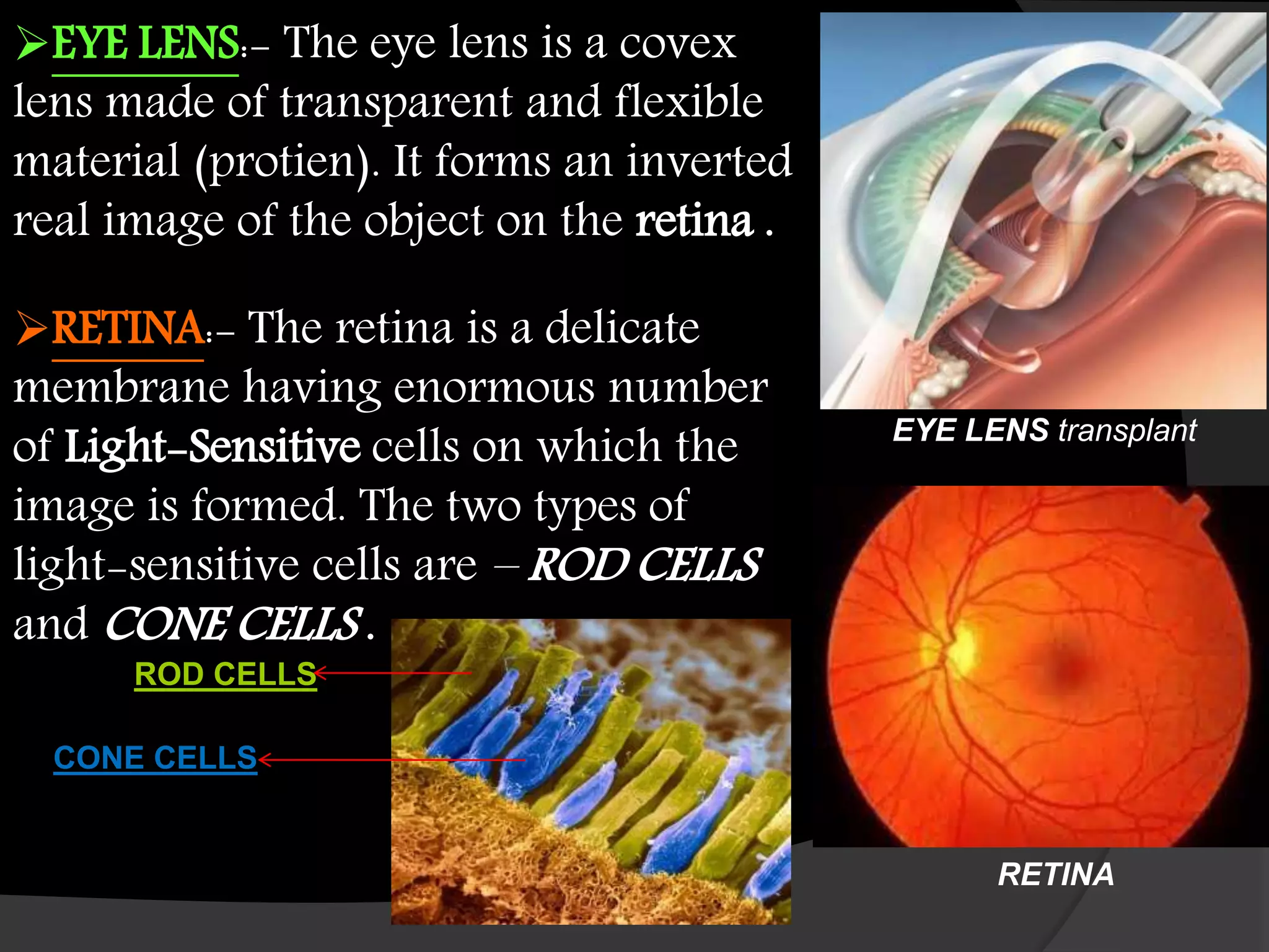 HUMAN EYE AND ITS DEFECTS | PPTX
