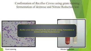 enumeration and detection of food born diseases and detection of salmon ...