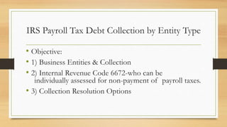 IRS Payroll Tax Collection by Entity Types | PPTX