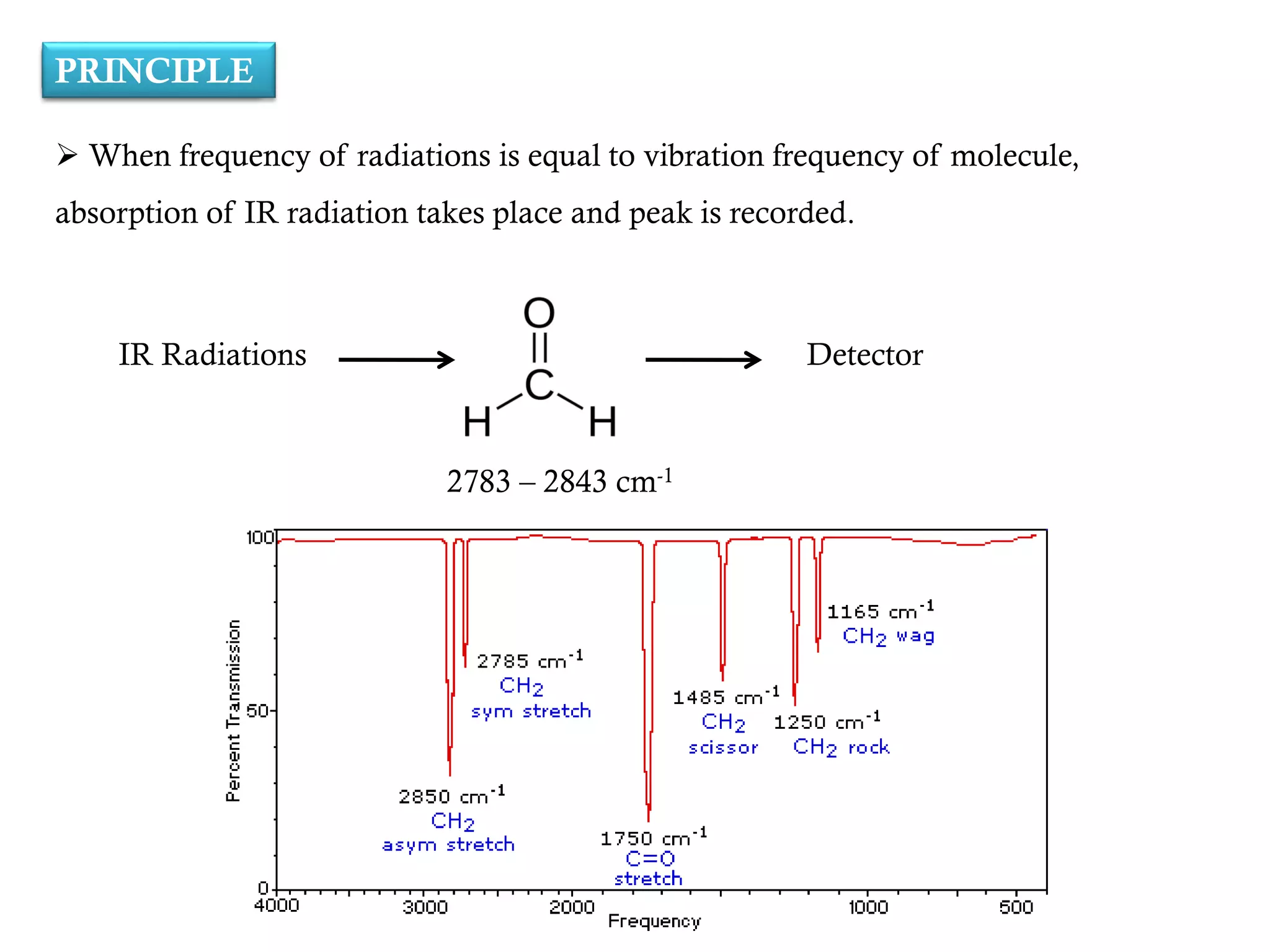 IR Spectroscopy.pdf