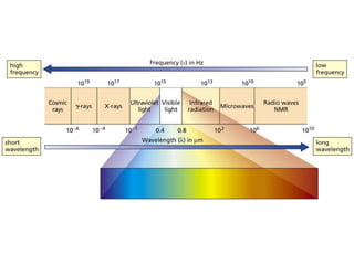 IR SPECTROSCOPY IMP.pptx