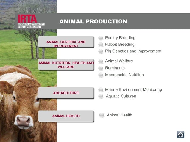 IRTA corporate presentation | PPT