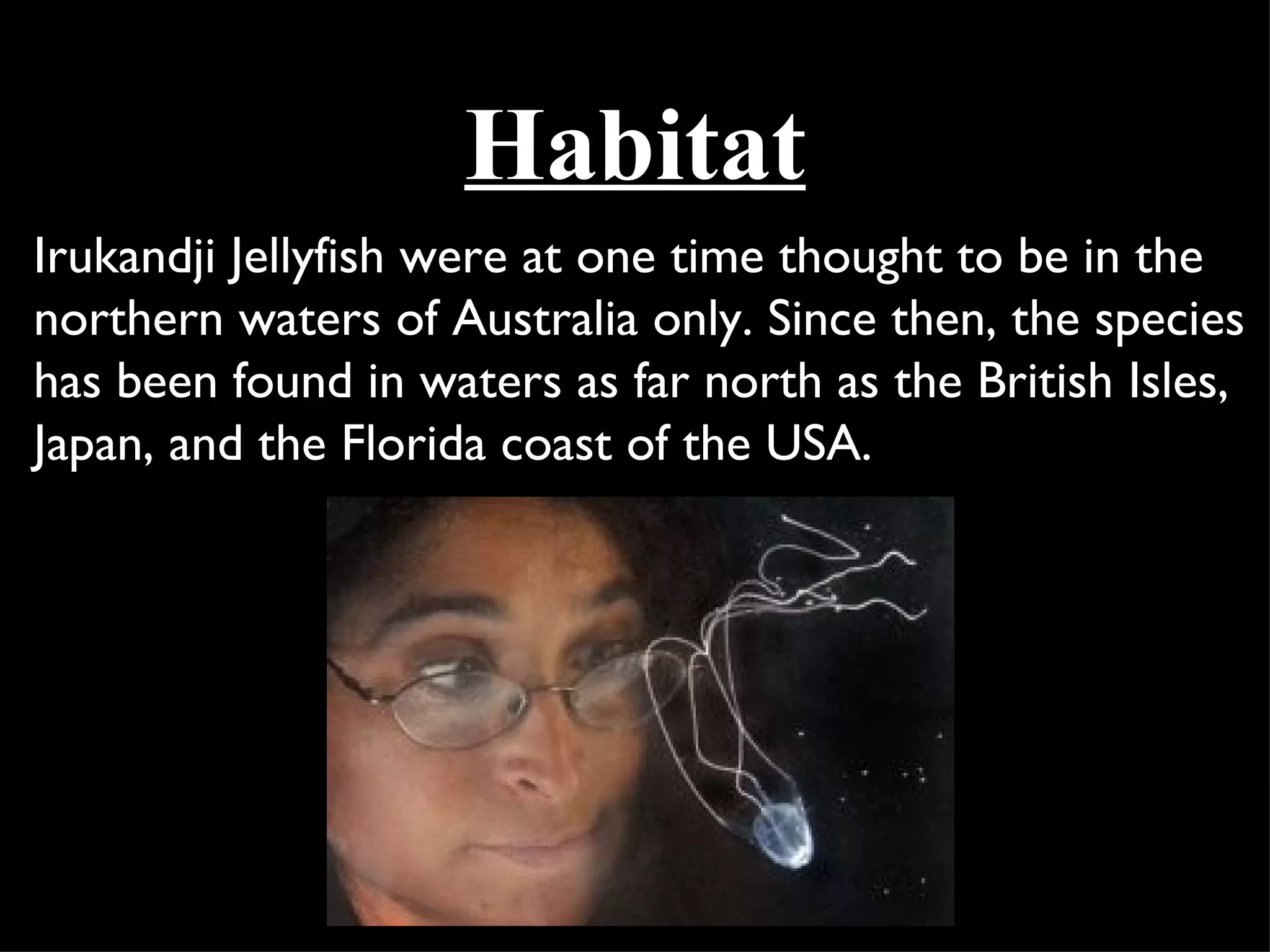 Irukandji Jellyfish | PPT