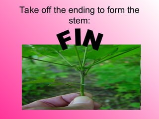 Second group Verb in French IR verbs.ppt