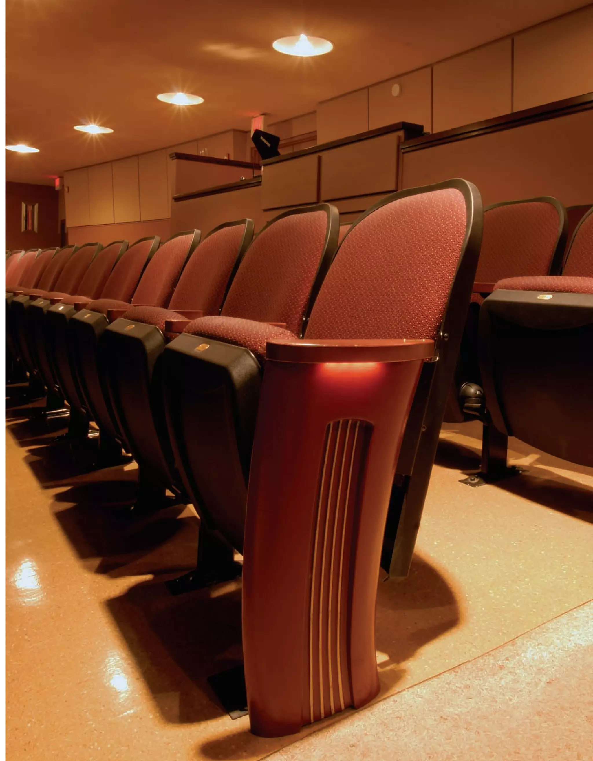 Irwin Seating Auditorium Brochure (2008 Edition) | PDF