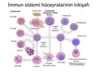 İmmun sistemi təşkili və komponentləri | PPTX
