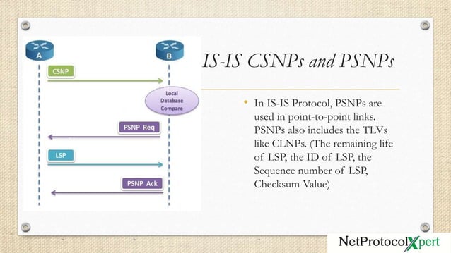 IS-IS Packet Types | PPT