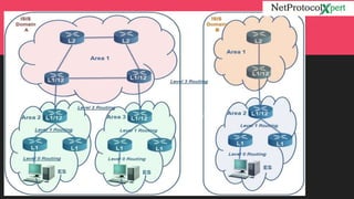 IS-IS Protocol Introduction | PPTX