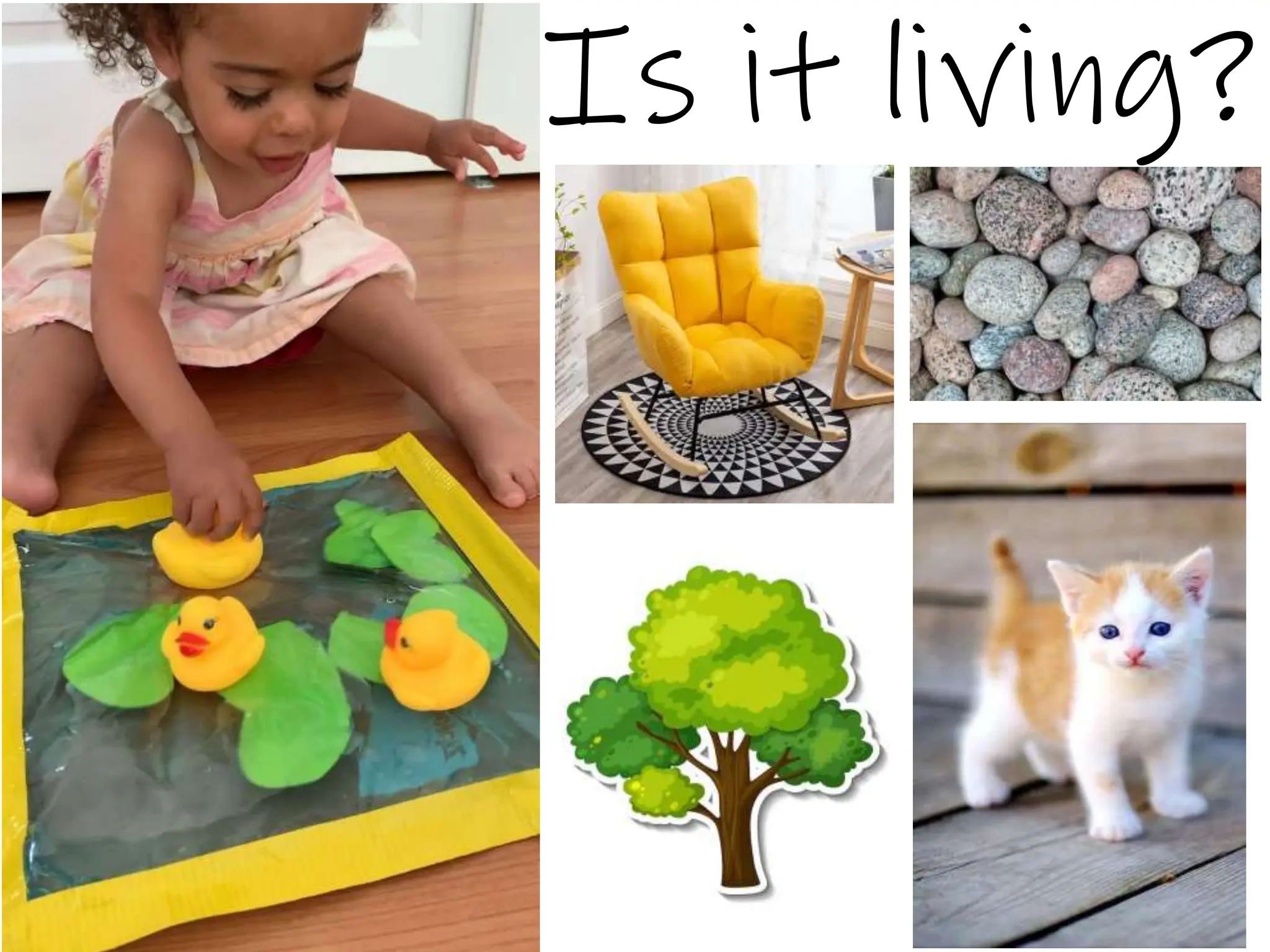 Is it Living Presentation and Quiz with Answers | PPT