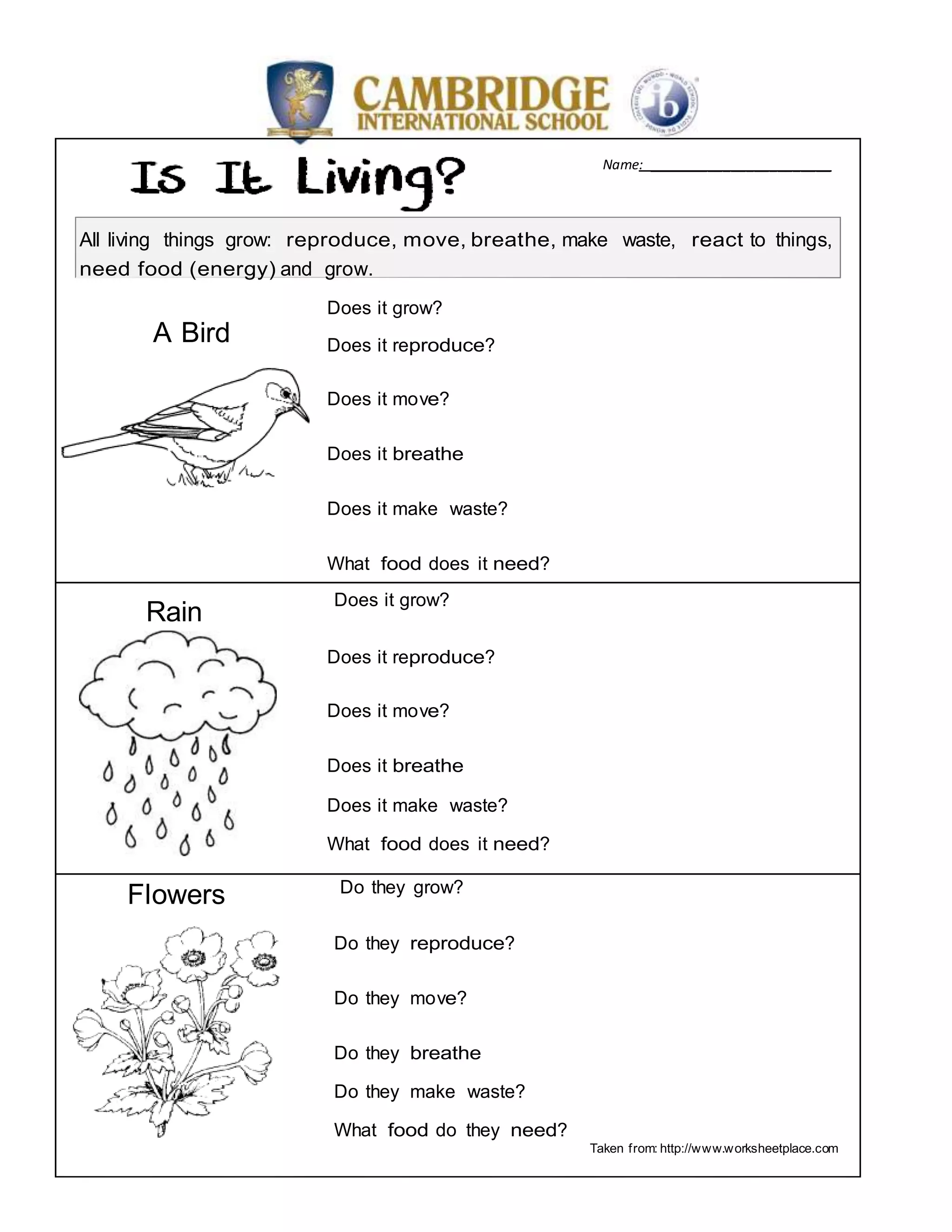 Is it-living-worksheet-1 | DOCX