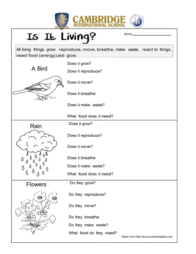 Is it-living-worksheet-1 | PDF