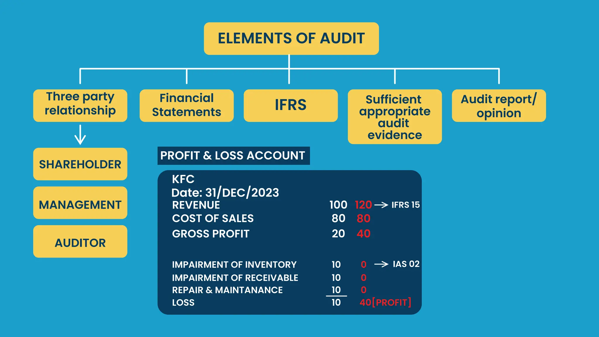 isa 200 CONCEPTUAL FRAMEWORK OF AUDIT.pdf