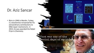aziz sancar nobel prize winner: from mardin to nobel | PPTX
