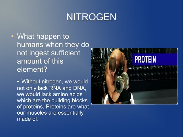 NITROGEN AND FLUORIDE -ISABELLA | PPT