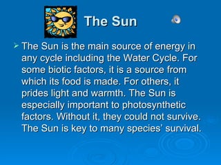 Watercycle PowerPoint | PPT