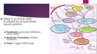 Isabella thoburn college neural mechanism of sleep | PPTX