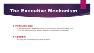 Isabella thoburn college neural mechanism of sleep | PPT