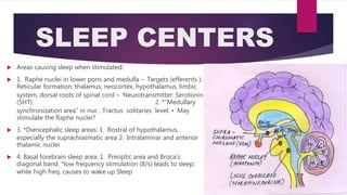 Isabella thoburn college neural mechanism of sleep | PPTX