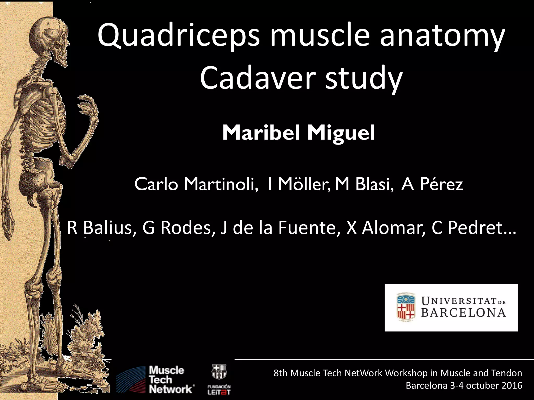 Isabel Miguel: Quadriceps muscle anatomy Cadaver study - PRP | PPT