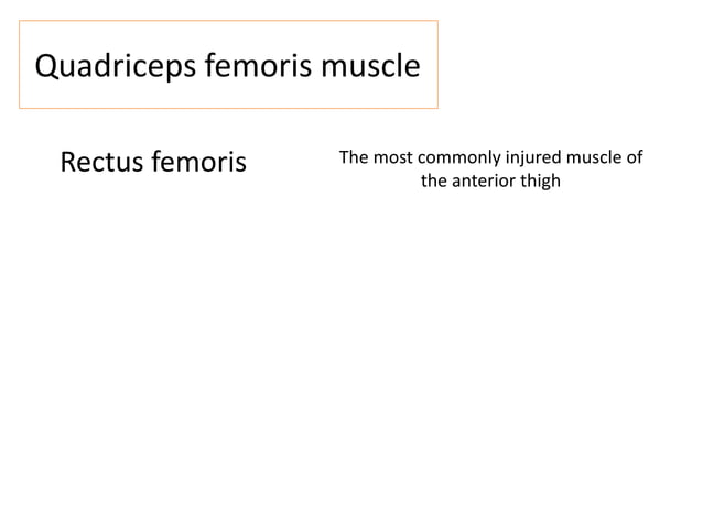 Isabel Miguel: Quadriceps muscle anatomy Cadaver study - PRP | PPT ...